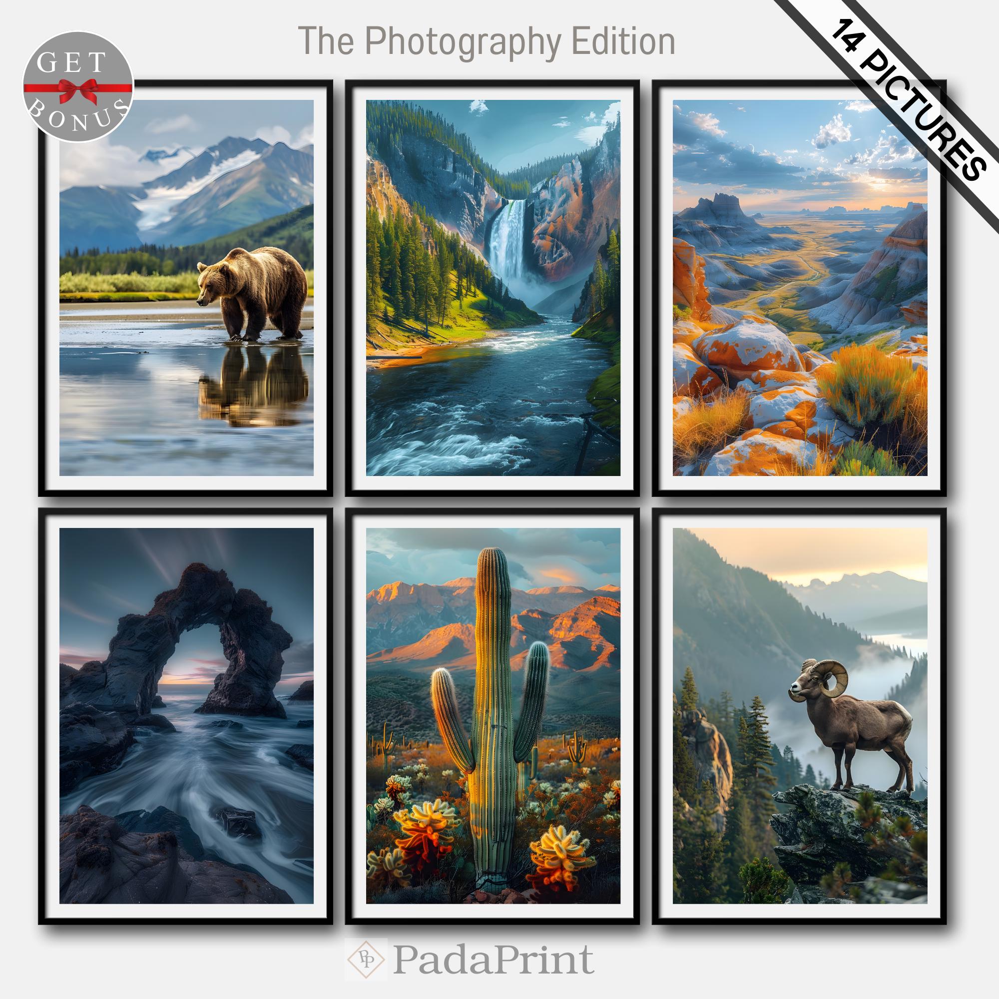 63 US National Park Prints, USA Parks Digital Posters, National Park ...