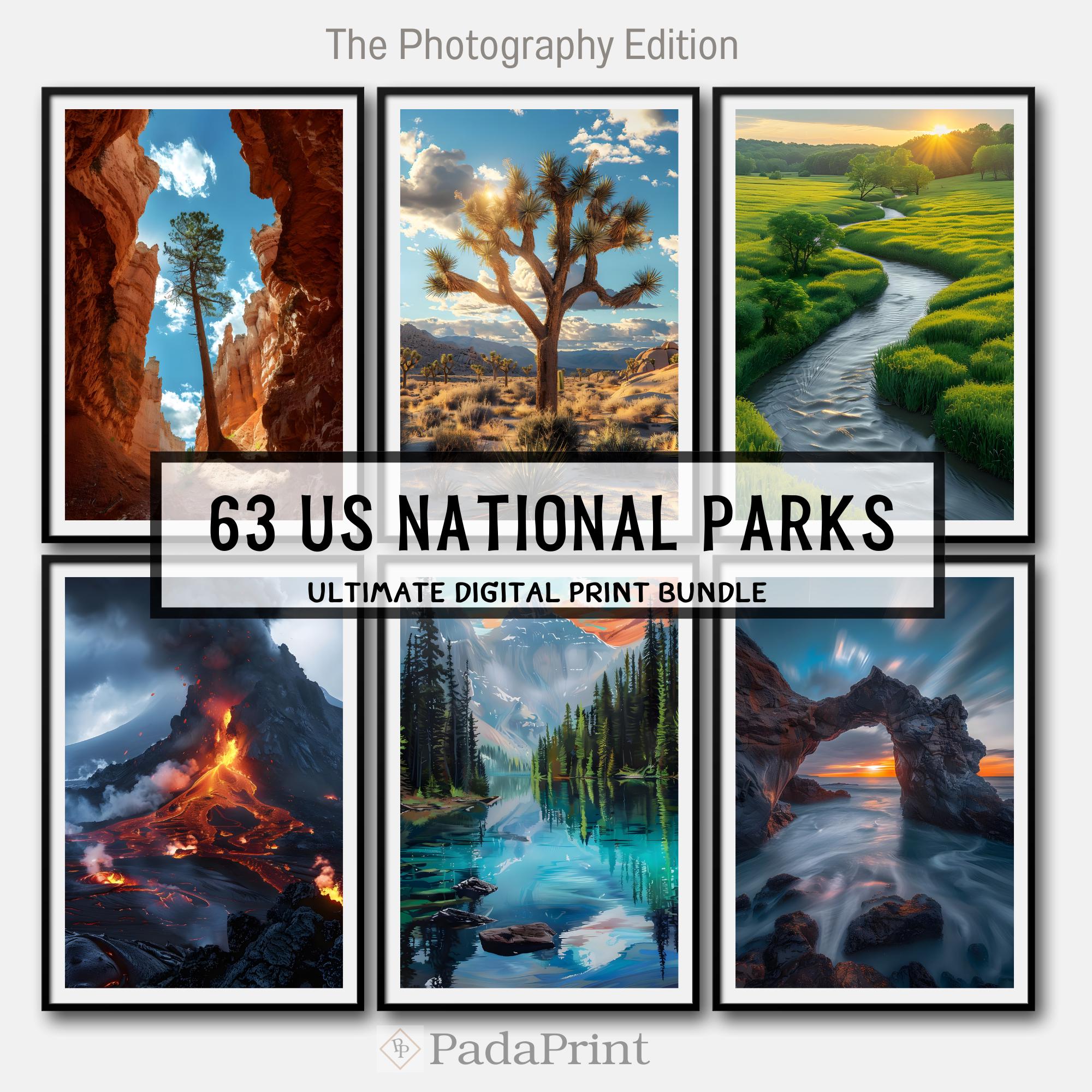 63 US National Park Prints, USA Parks Digital Posters, National Park ...
