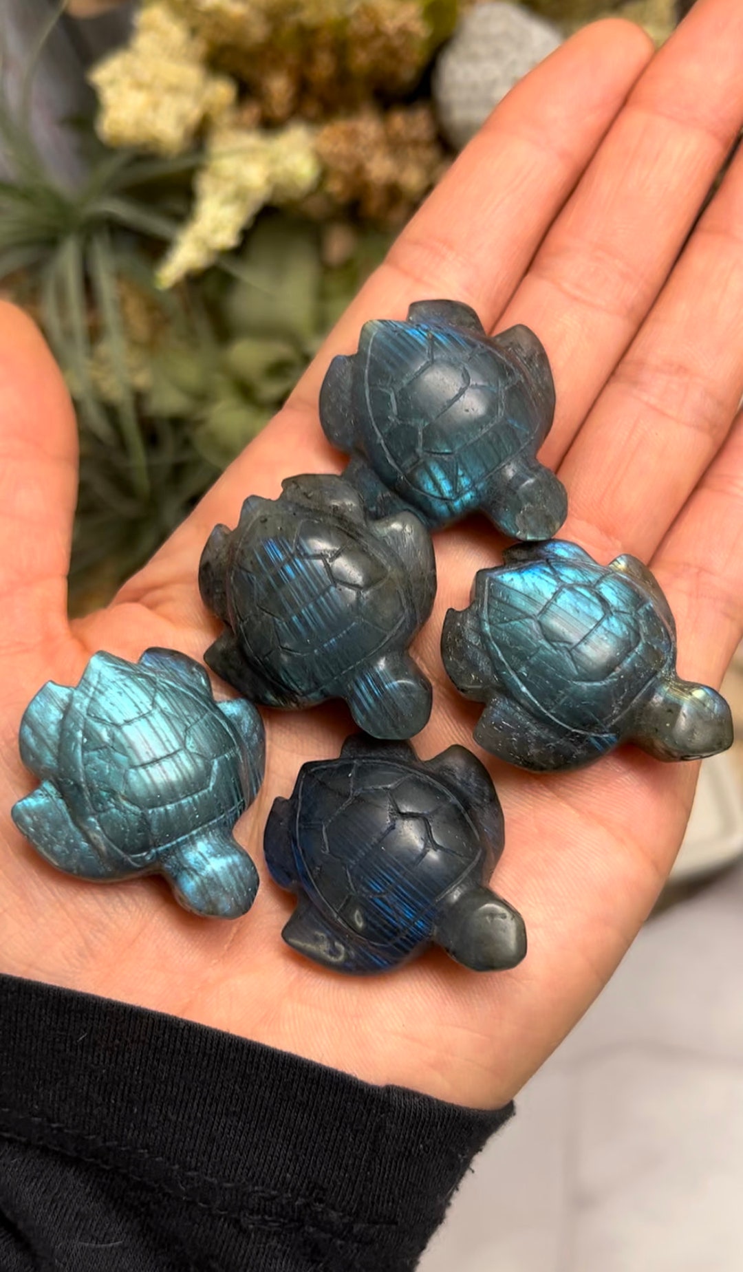 Labradorite Carved Turtles | Healing Crystals | Polish Gems | Home ...