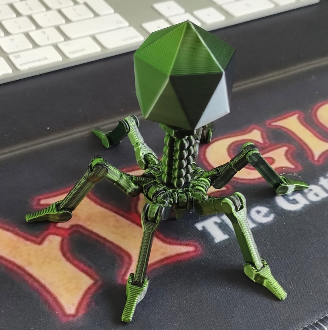 Cute 3D Printed Articulated Bacteriophage T4 Biology Model Microbiology ...