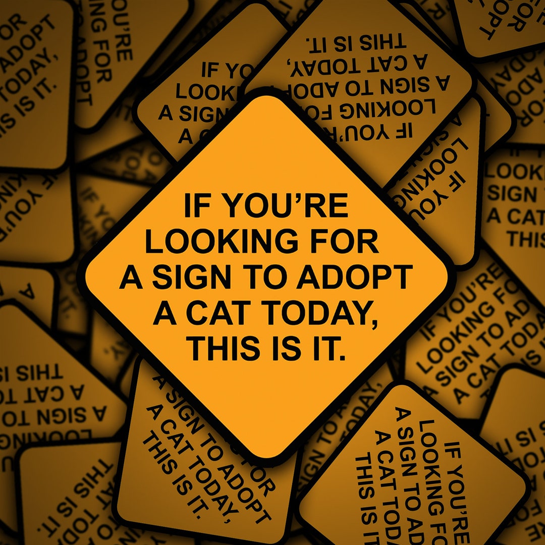 Sign to Adopt A Cat Today Vinyl Sticker Car Truck Decal Cool Aussie ...