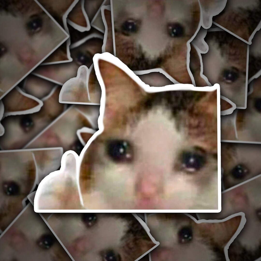 Sad Boi Cat Vinyl Sticker Car Truck Decal Funny Aussie Yeah the Girls ...