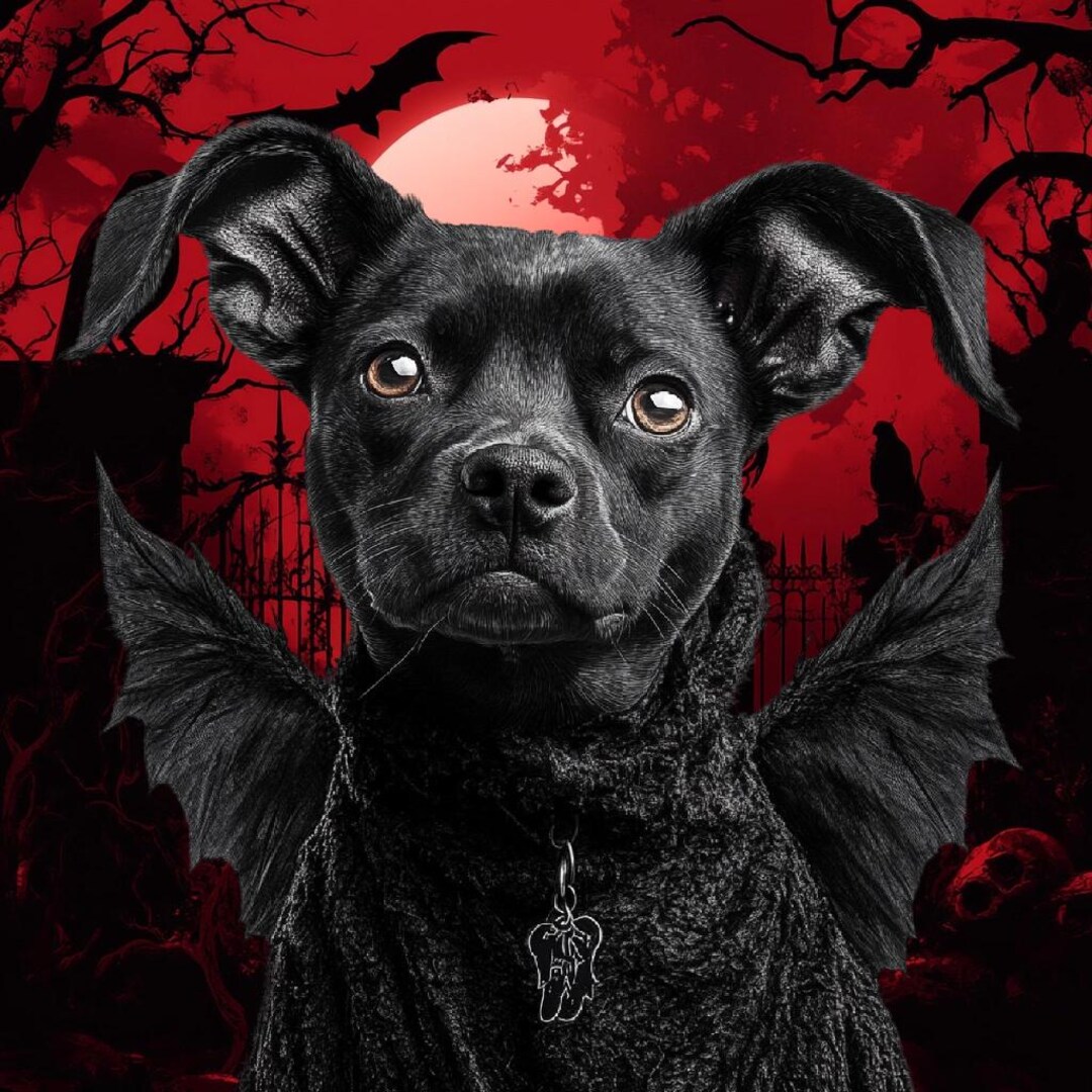 Dog With Bat Wings Drawing, Vampire Dog Portrait, Gothic Pet Art ...