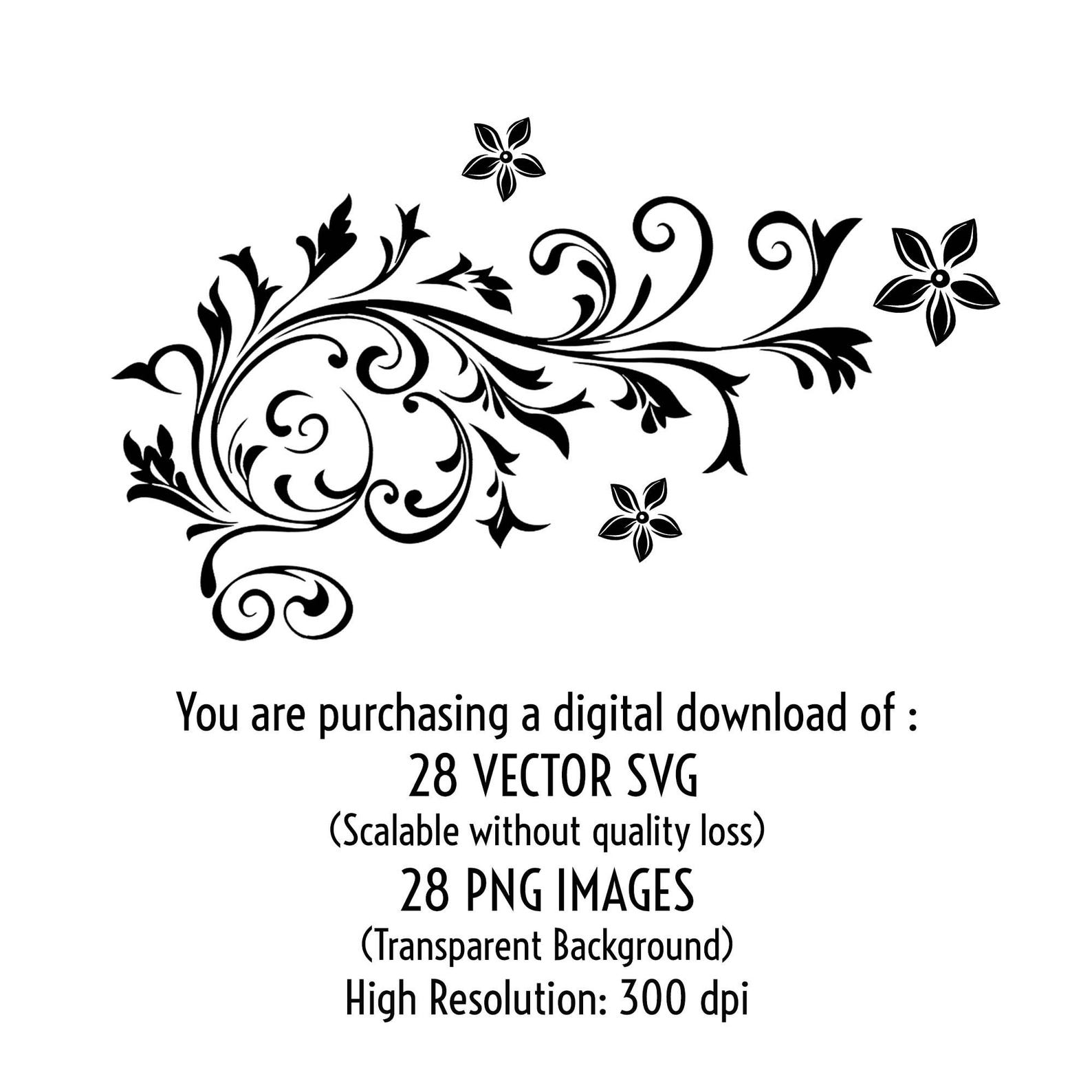 Floral Scroll Clipart Set, 56 PNG SVG, Black Swirl Ornaments, Digital ...