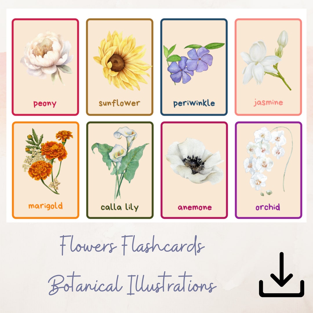 Flowers Flashcards Watercolor Botanic Preschool Printables Toddler ...