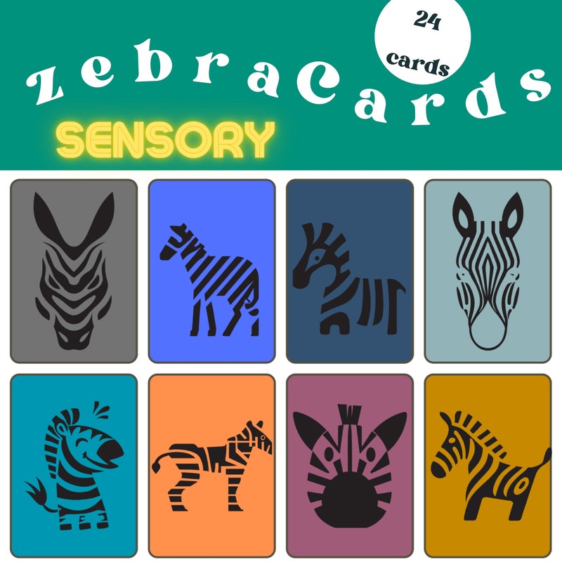 Zebra Flashcard - Etsy Canada
