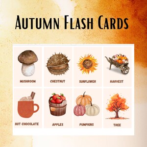 24 Printable Autumn Flashcards for Kids Fall Image Cards Montessori ...