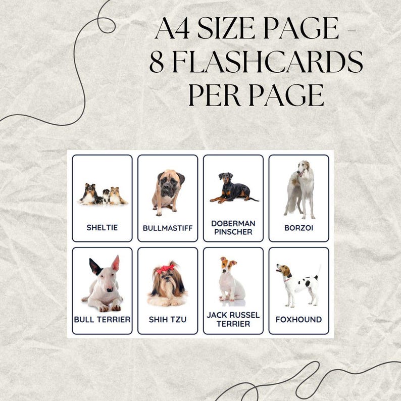 Dog Breeds Montessori Flashcards, Homeschool Resource (printable PDF ...