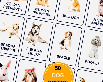 Dog Breeds Montessori Flashcards, Homeschool Resource (printable PDF ...