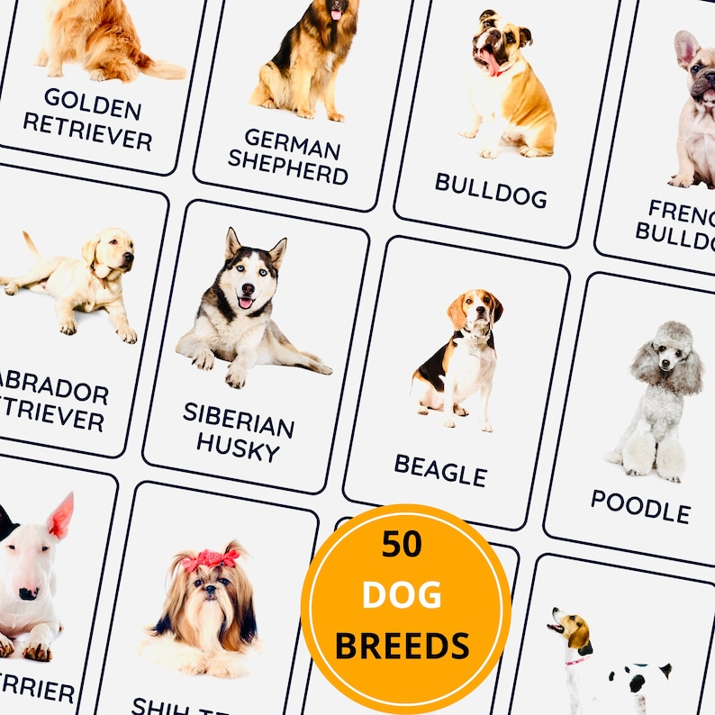 Breeds of Dogs Montessori Flashcards Nomenclture Cards Dogs Cards ...