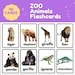40 Zoo Animals Flashcards Kids Printable Nomenclature Cards ESOL ...