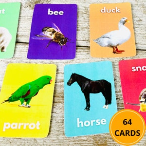 64 Animals Flashcards for Kids Colorful Animal Flashcards Real Photos ...
