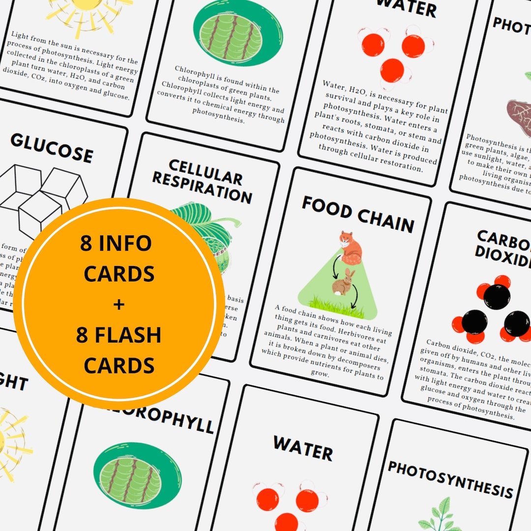 Photosynthesis and Cellular Respiration Science Flashcards, Biology ...