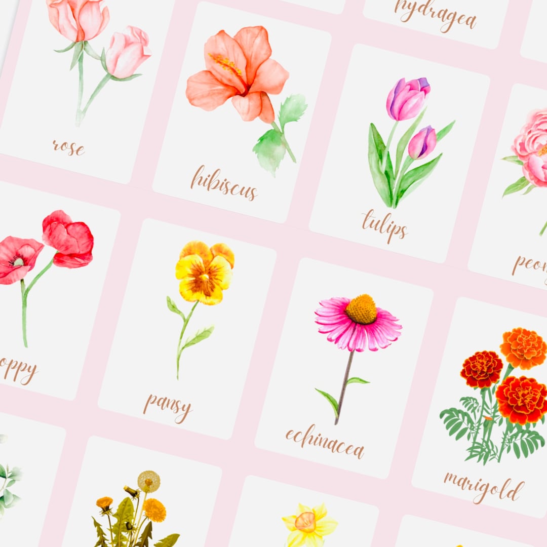 Flower Identification Cards Flower Cards Flower Study Flower Activity ...