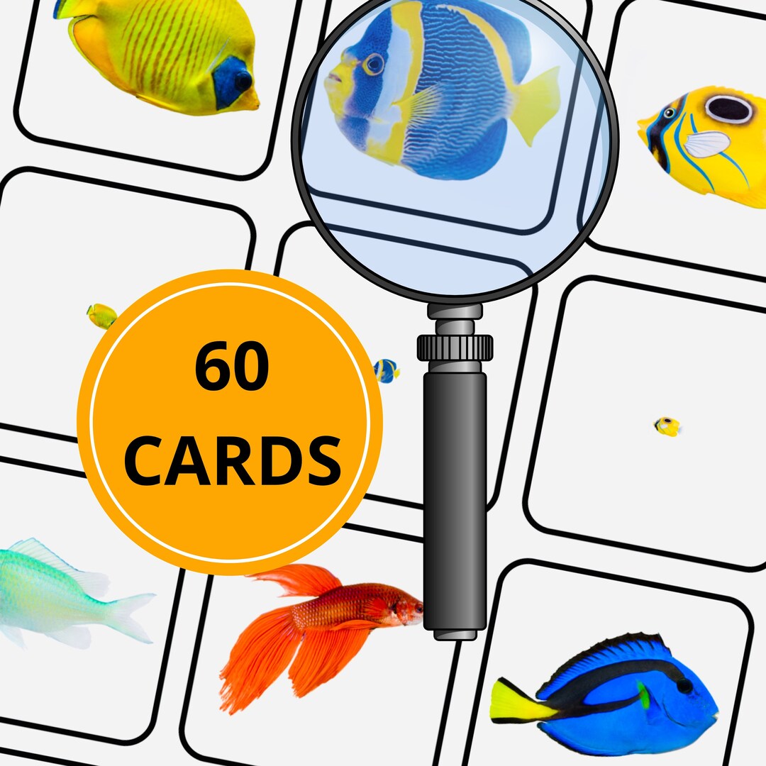 Fish Matching Game for Kids, Magnifying Cards Montessori Activity ...