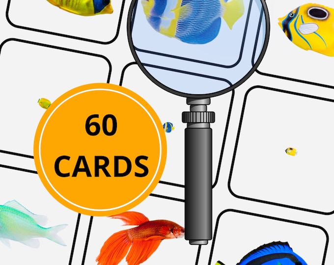 Fish Matching Game for Kids, Magnifying Cards Montessori Activity ...