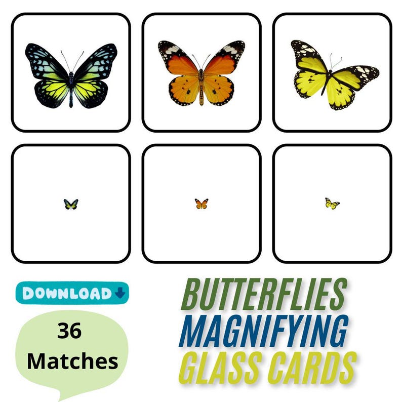 Butterfly Magnifying Matching Game, Montessori Zoology, Magnifying ...