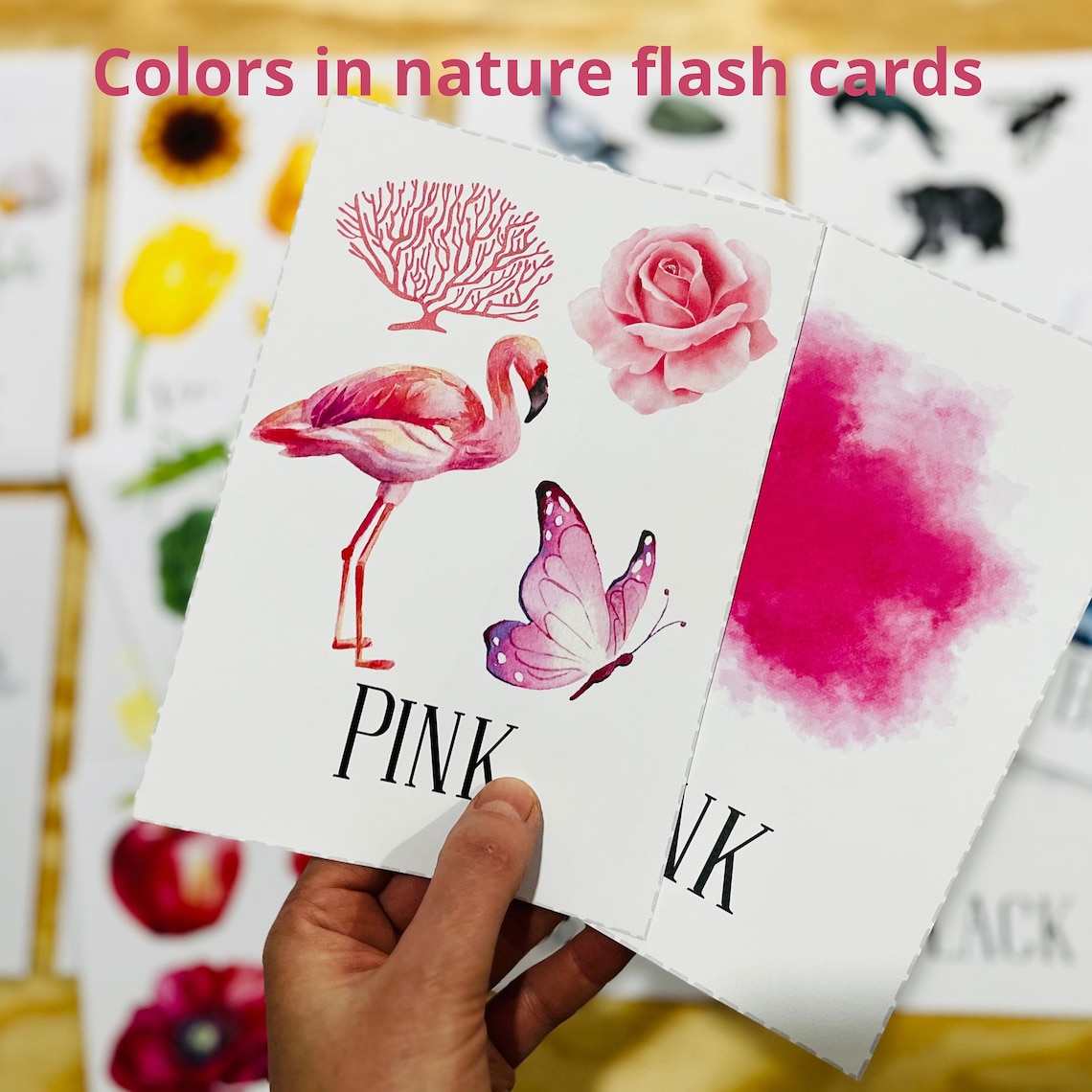 Colors in Nature Flash Cards, Montessori Learning (PDF). - Etsy