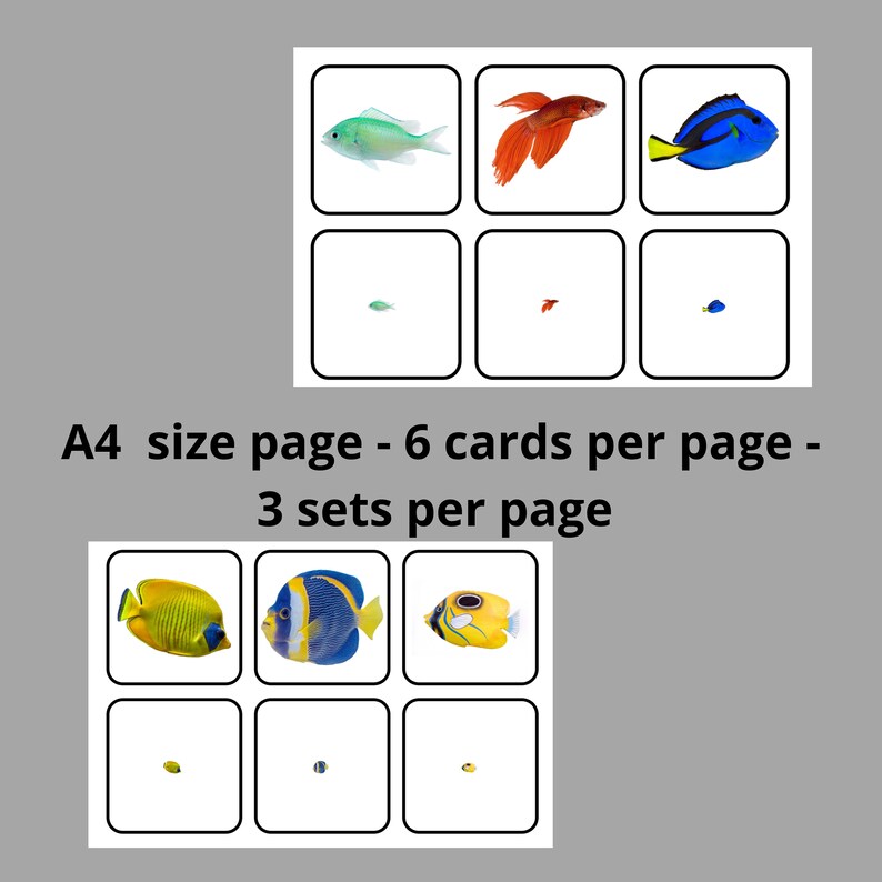 Fish Matching Game for Kids, Magnifying Cards Montessori Activity ...
