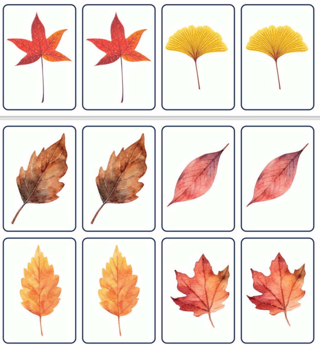 Autumn Leaves Matching Game Cards Matching Autumn Leaves Flashcards ...