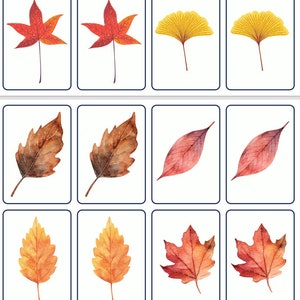 Autumn Leaves Matching Game Cards Matching Autumn Leaves Flashcards ...