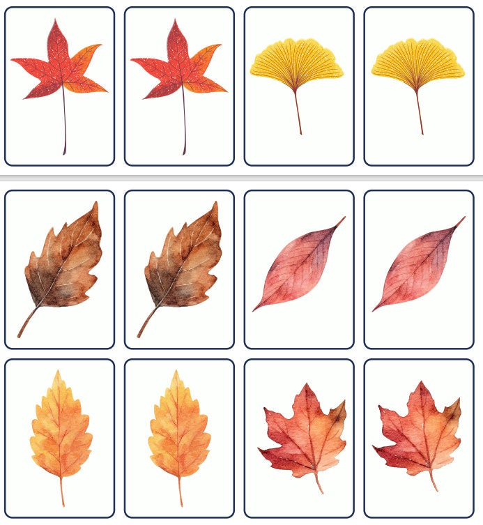 Autumn Leaves Matching Game Cards Matching Autumn Leaves Flashcards ...