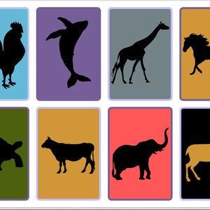 Animals High Contract Sensory Cards Baby Development Visual Stimulation ...