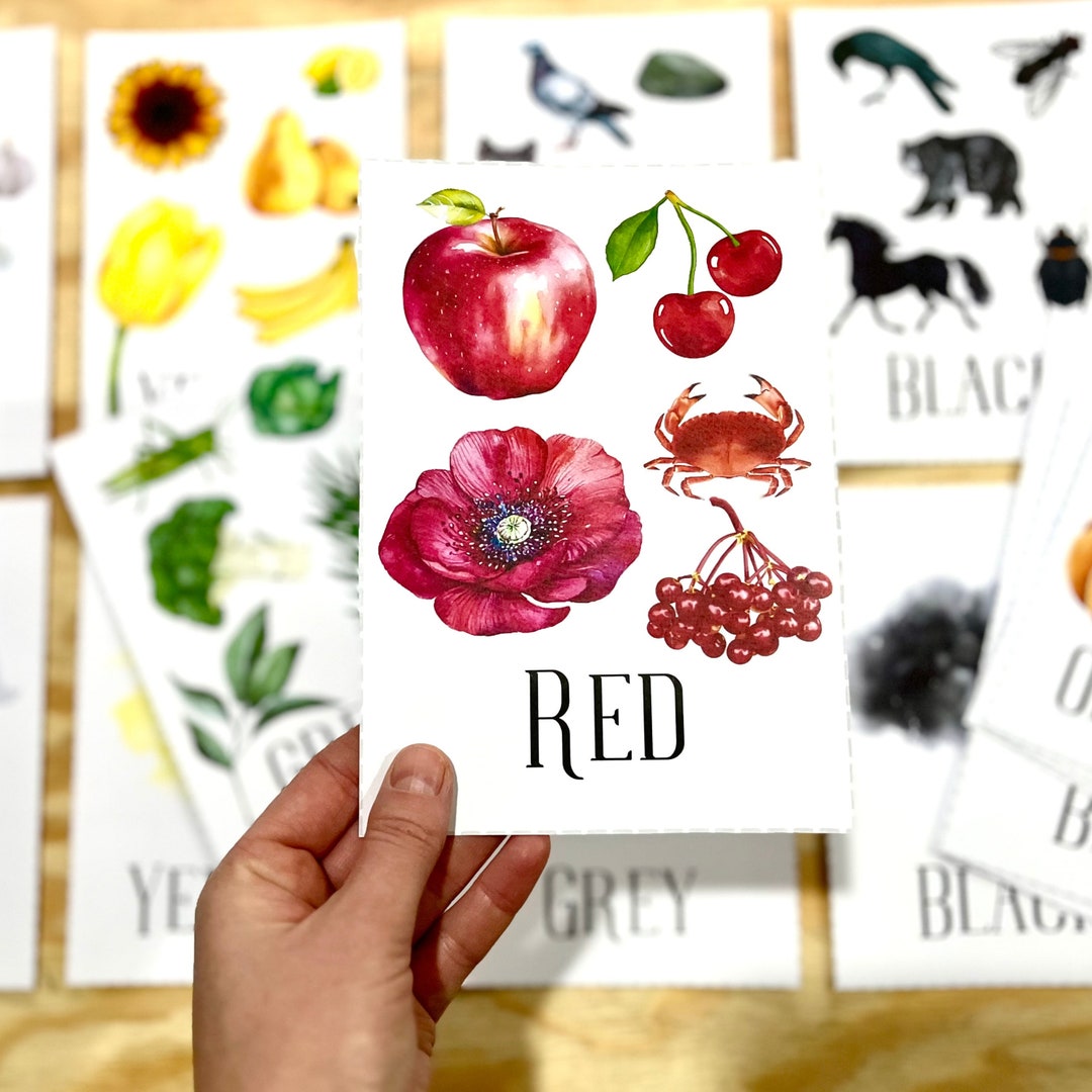 Colors in Nature Flash Cards for Kids, Montessori English PDF Teaching ...