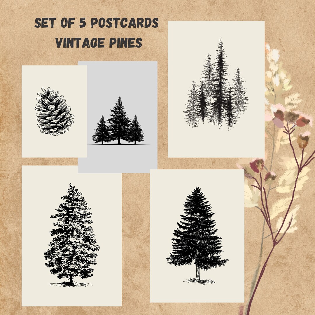Pine Trees Postcards Set of 5 Vintage Style Cards Trees Postcards ...