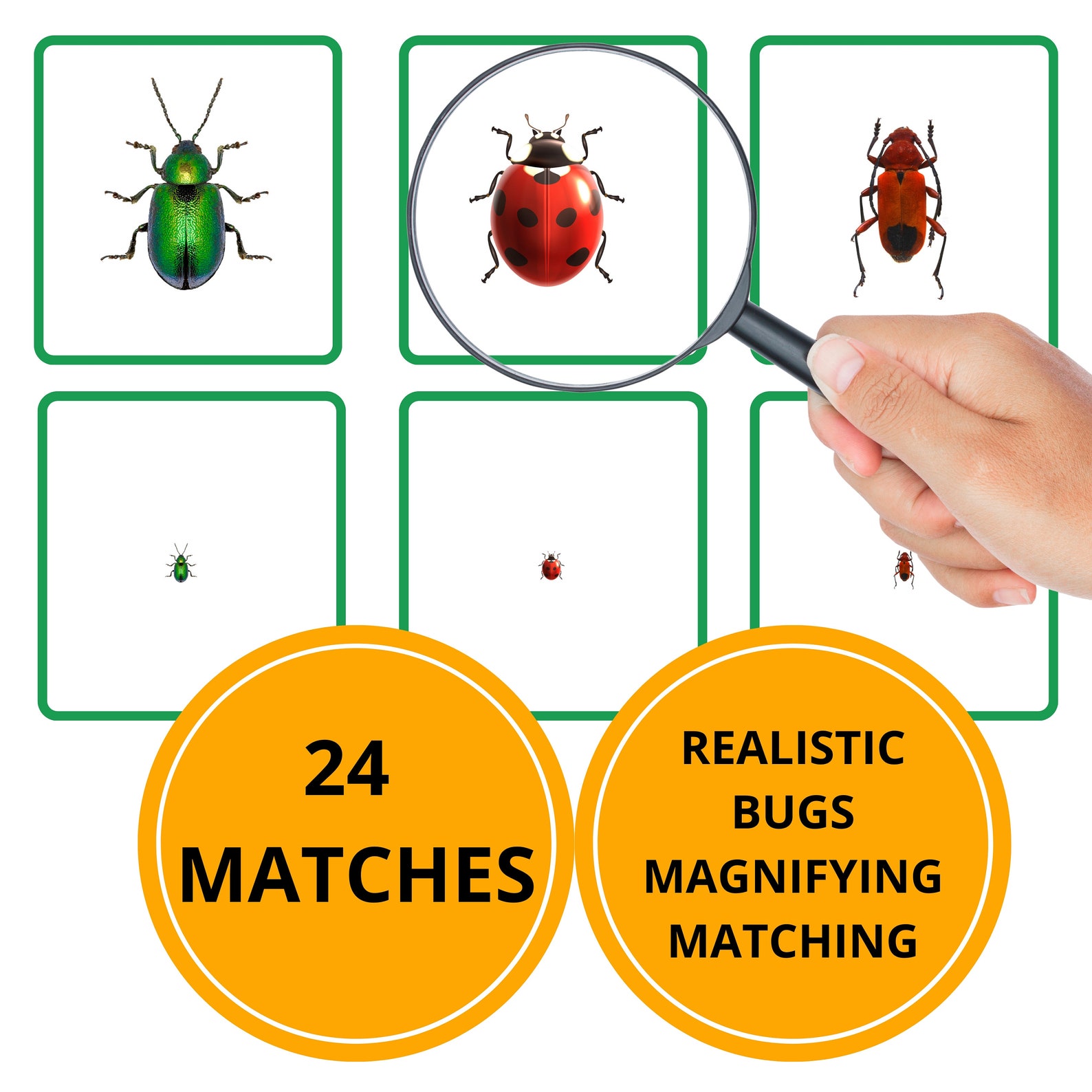 Bugs Magnifying Matching Game, Montessori at Home Using Magnifying ...