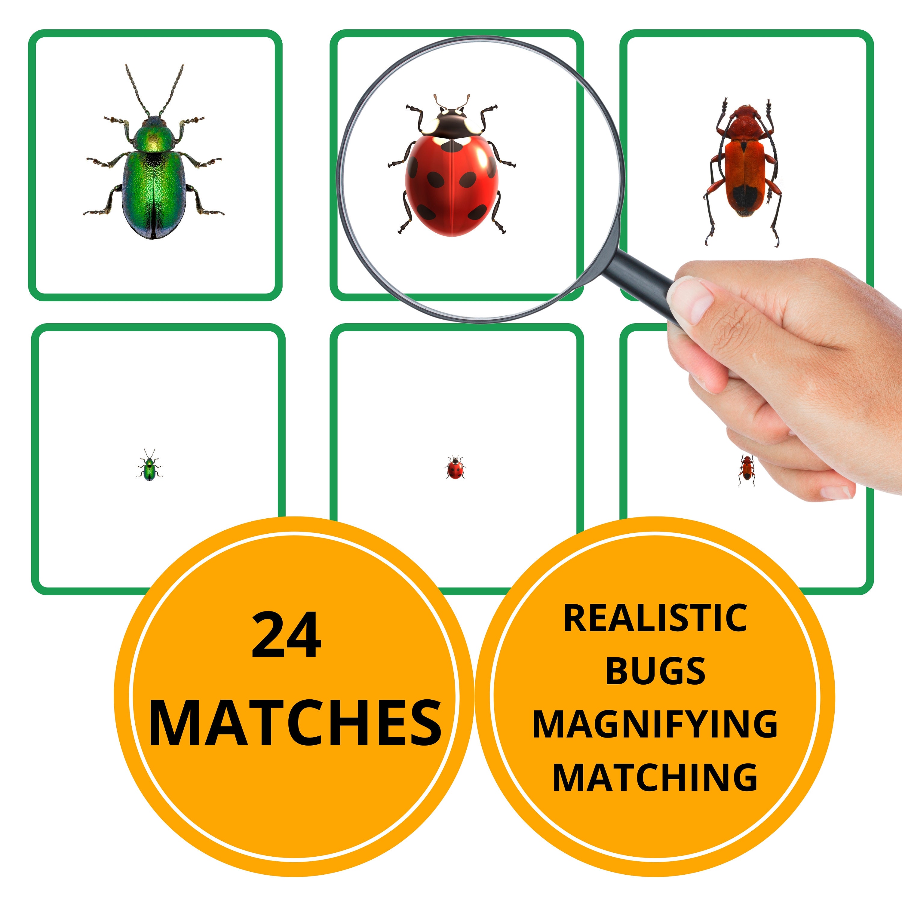 Bugs Magnifying Matching Game, Montessori at Home Using Magnifying ...
