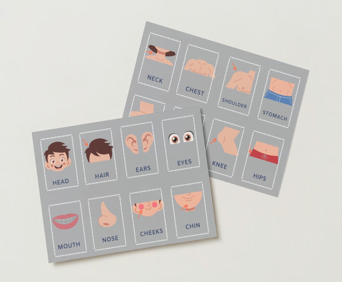 24 Body Parts Flashcards for Kids English Body Parts Body - Etsy UK