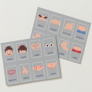 24 Body Parts Flashcards for Kids English Body Parts Body Parts Cards ...