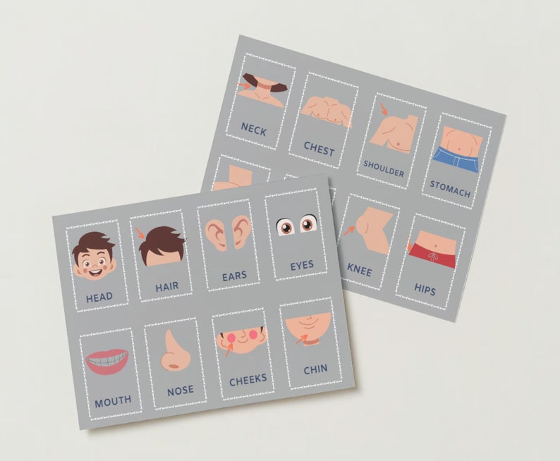 24 Body Parts Flashcards for Kids English Body Parts Body Parts Cards ...