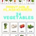 Vegetable Flashcards for Toddlers | Montessori Nomenclature Cards ...