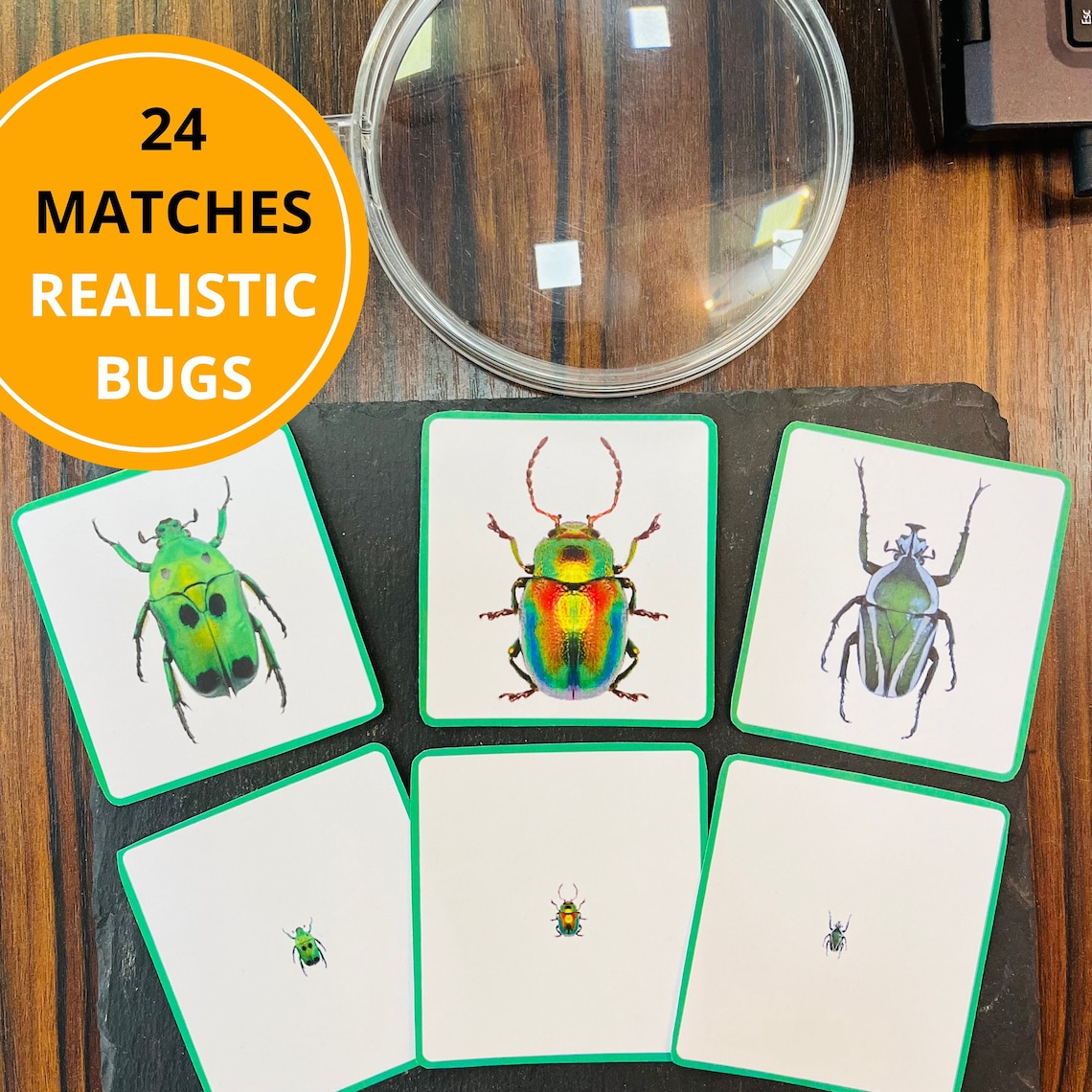 Bugs Magnifying Matching Game, Montessori at Home Using Magnifying ...