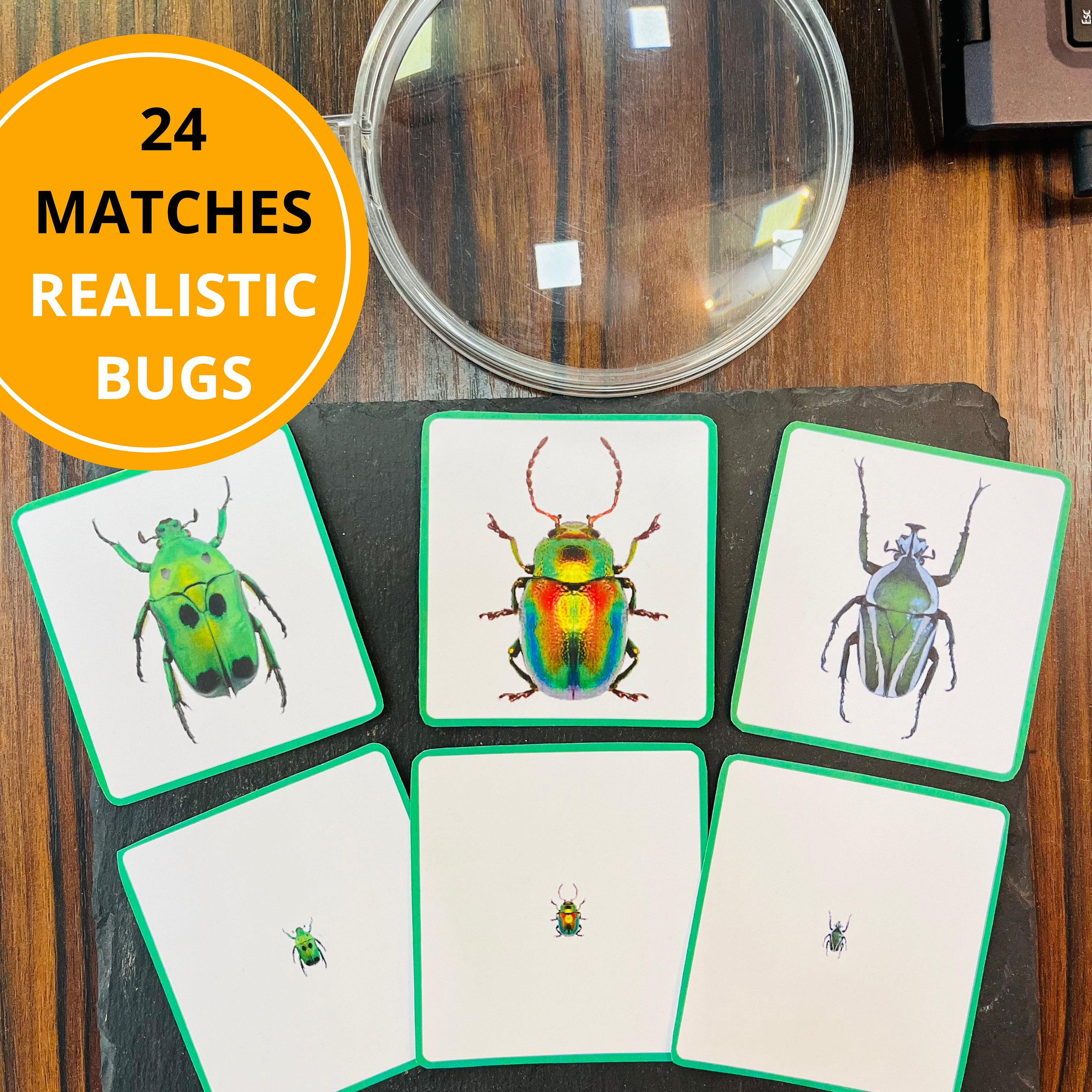 Bugs Magnifying Matching Game, Montessori at Home Using Magnifying ...
