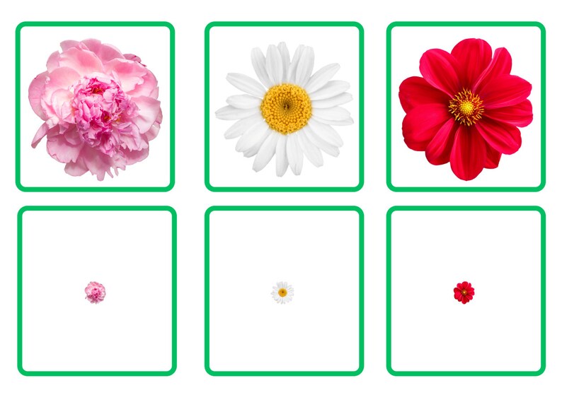 Flowers Magnifying Matching Game Montessori Activity Using Magnifying ...