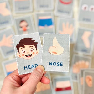 24 Body Parts Flashcards for Kids English Body Parts Body Parts Cards ...