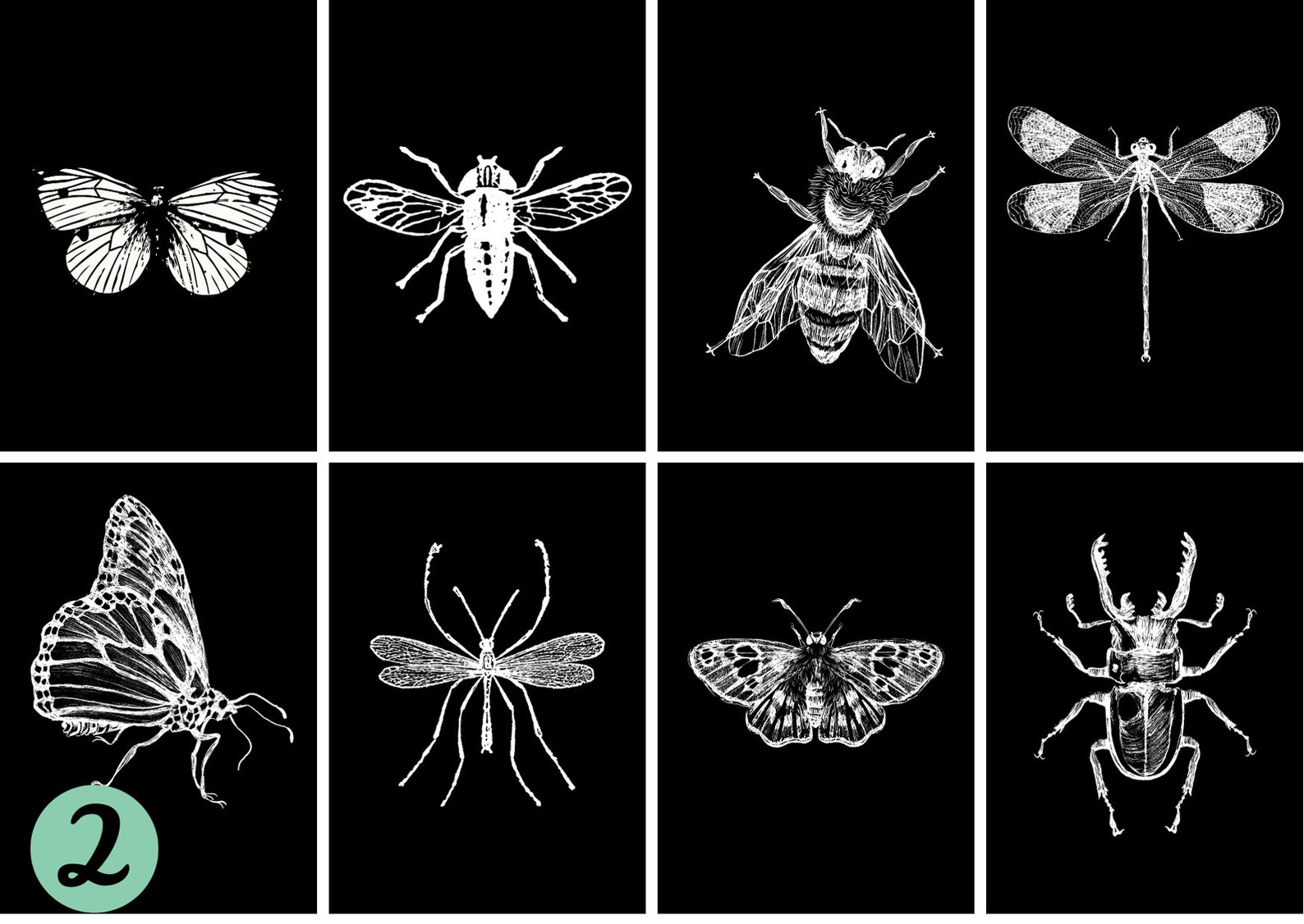 40 Insects Black and White Flashcards Instant Download Montessori ...