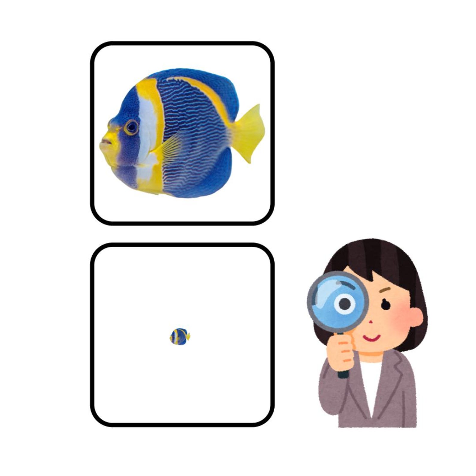 Fish Matching Game for Kids, Magnifying Cards Montessori Activity ...
