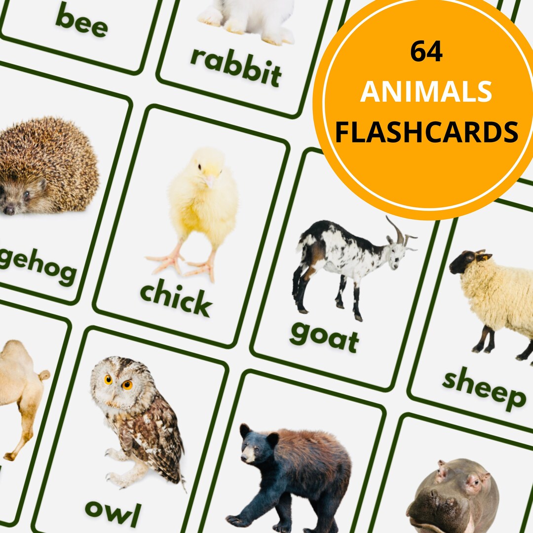 Animals Flashcards for Kids, Animal Vocabulary Cards, Montessori ...