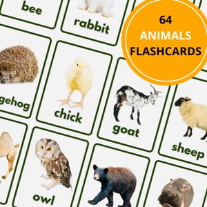 Animals Flashcards for Kids, Animal Vocabulary Cards, Montessori ...
