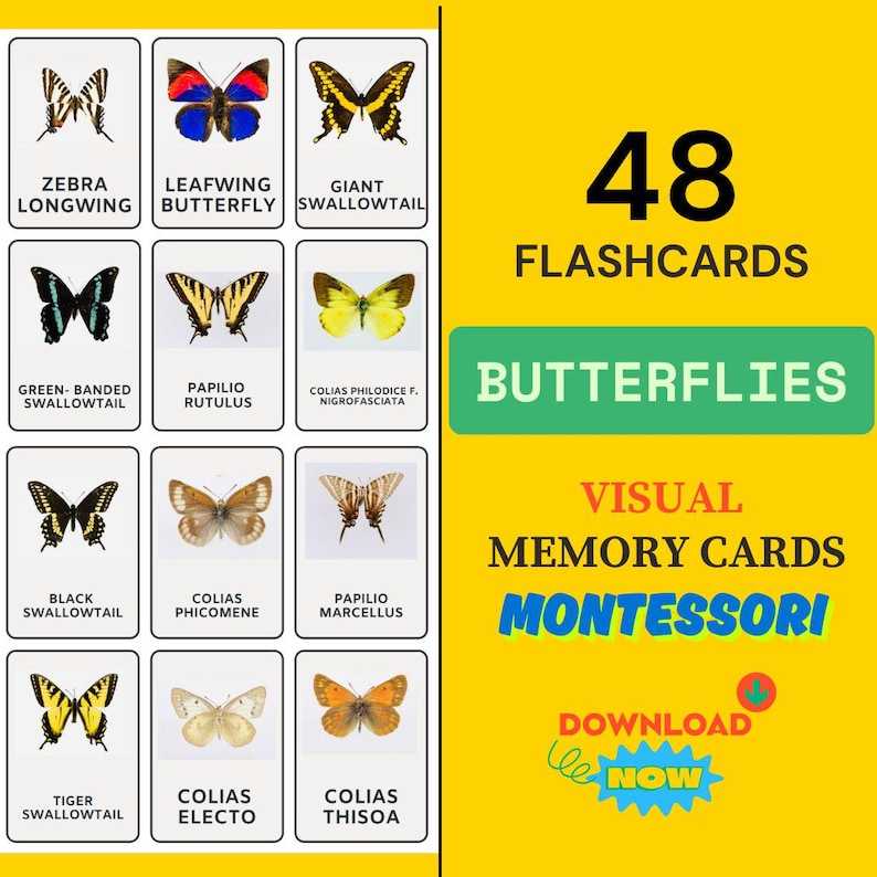 Butterfly Flash Cards Butterflies Study Montessori Printable Resources ...