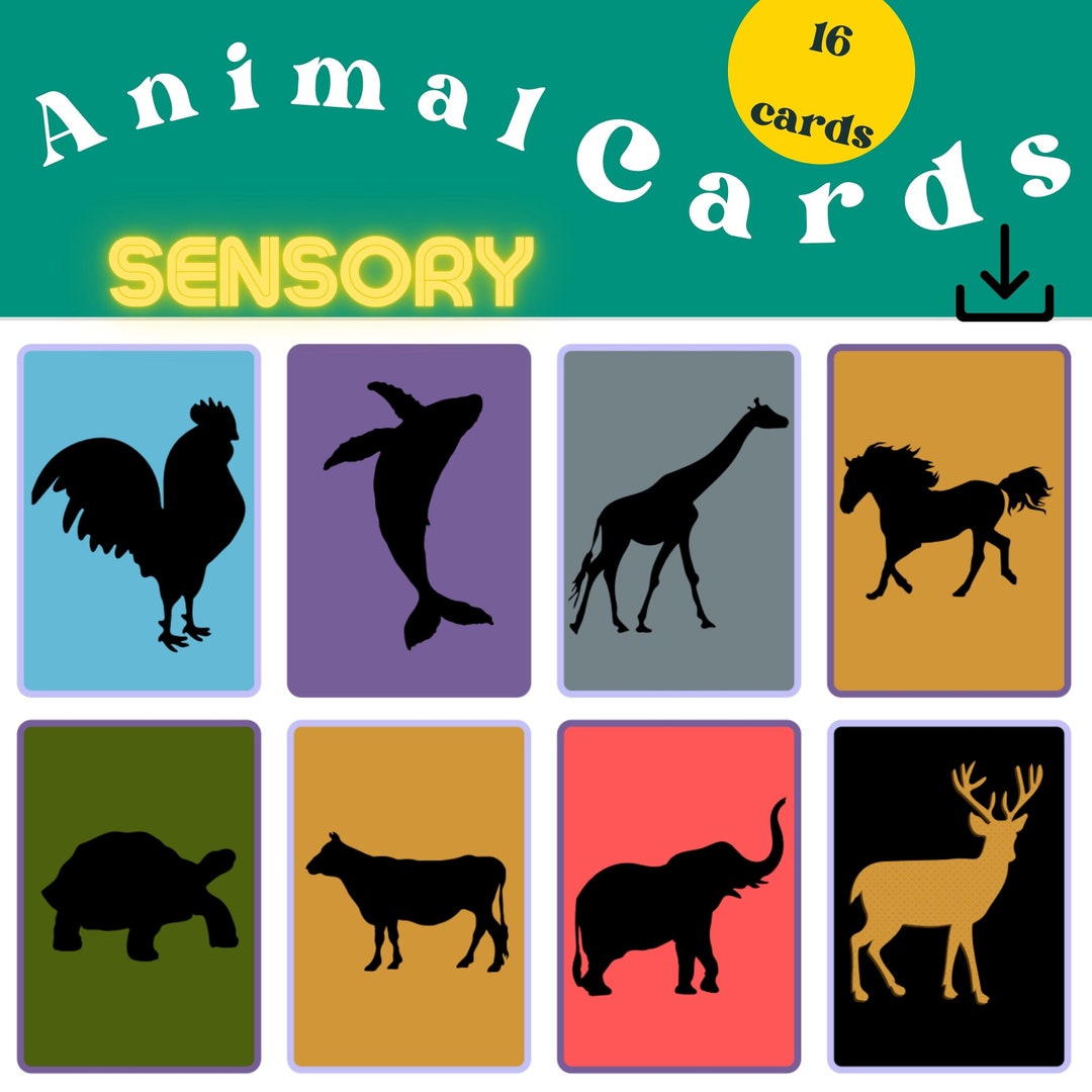 Animals High Contract Sensory Cards Baby Development Visual Stimulation ...