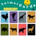 Animals High Contract Sensory Cards Baby Development Visual Stimulation ...