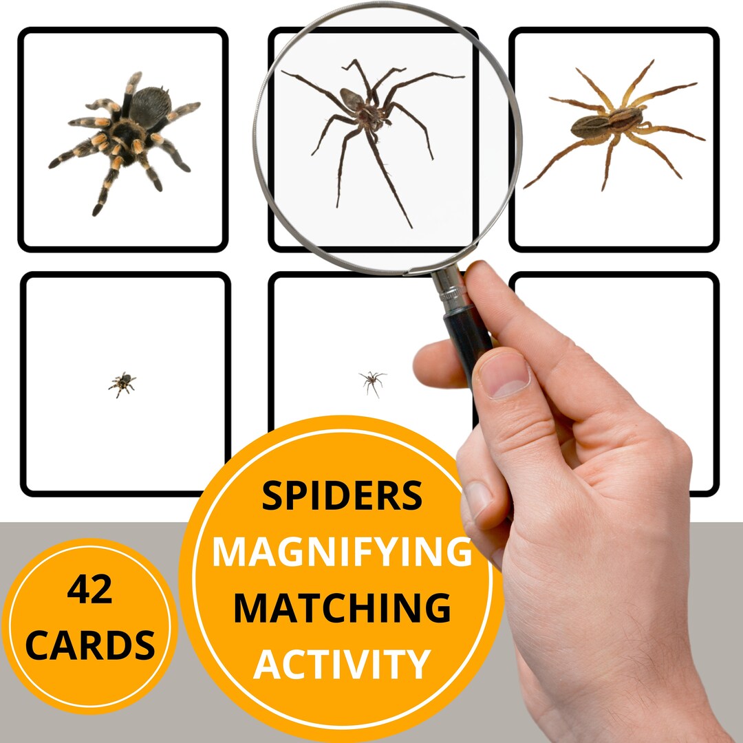 Spiders Magnifying Matching Game, Montessori at Home Using Magnifying ...