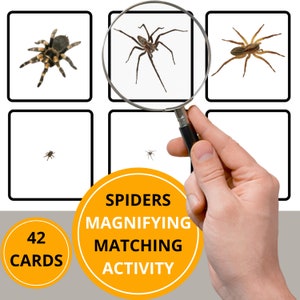 Spiders Magnifying Matching Game, Montessori at Home Using Magnifying ...