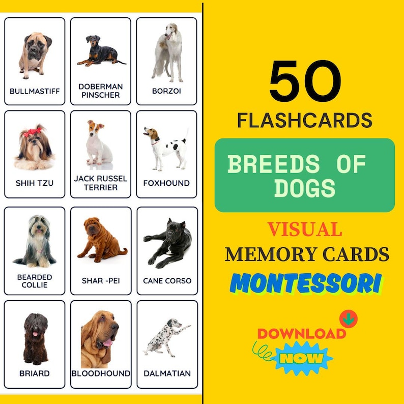 Dog Breeds Montessori Flashcards, Homeschool Resource (printable PDF ...