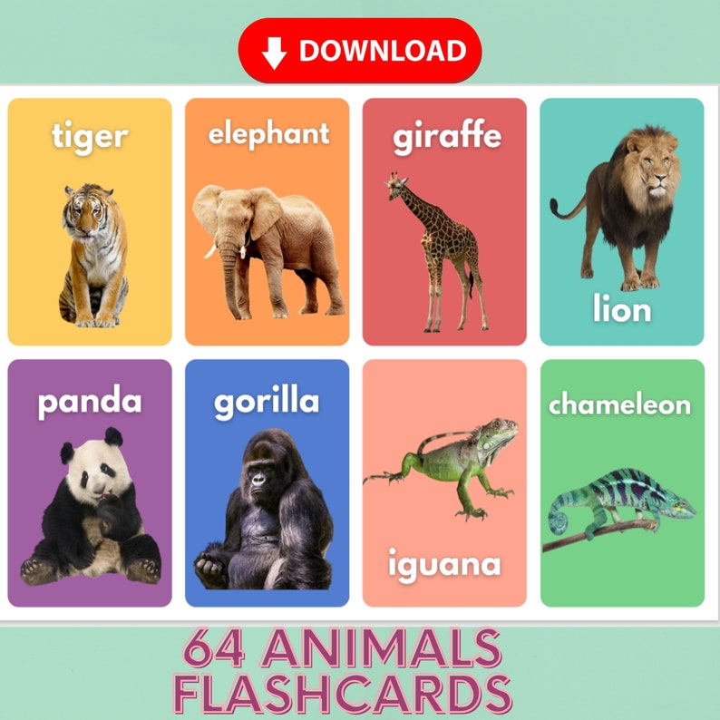 64 Animals Flashcards for Kids Colorful Animal Flashcards Real Photos ...